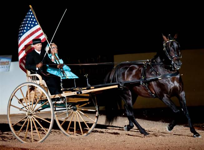 Horse of the Kings at South Point - Horse of the Kings at South Point ...