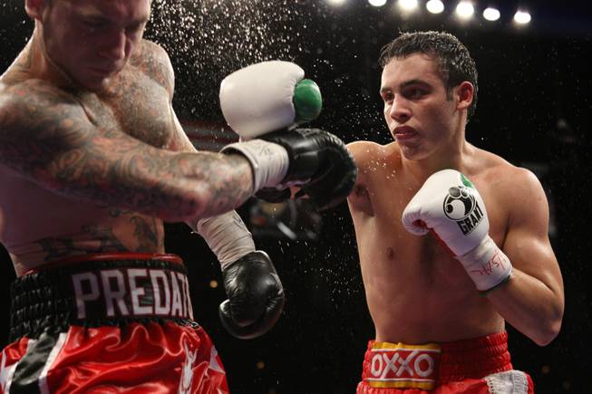 Julio Chavez Jr. Defeats Matt Vanda - Matt Vanda takes a punch from ...