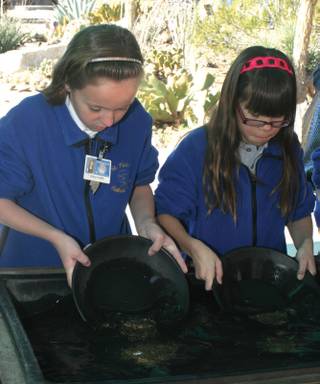 McCaw School of Mines open again - Las Vegas Sun News