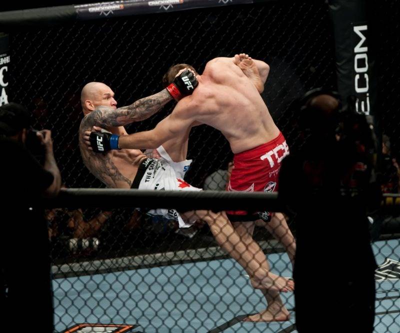 Local fighters cheer on researchers in the ring with the mysteries of ...