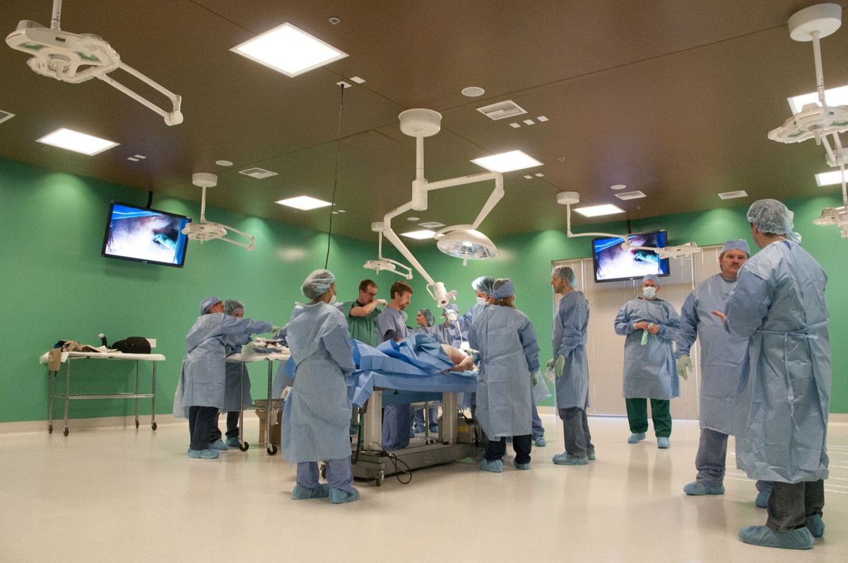 For paramedics, cadaver training a rare, welcome opportunity - Las ...