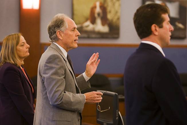 Judge Kathleen Delaney’s Courtroom - A photo of a basset hound looms ...