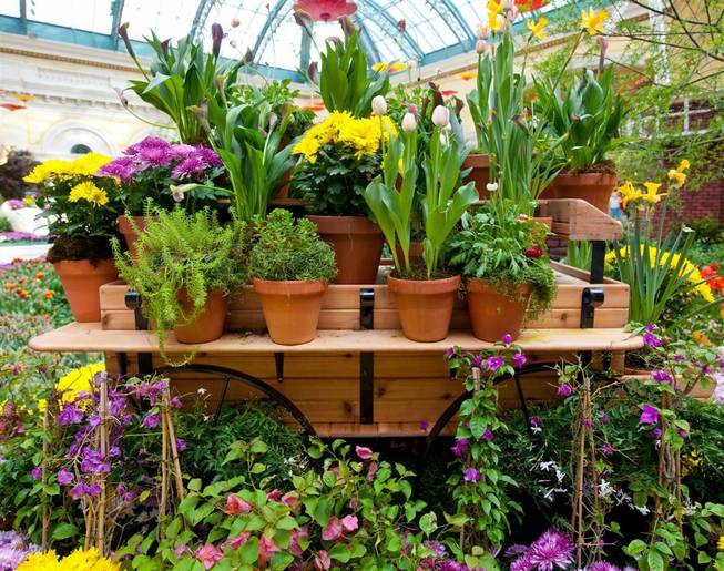 2012 Spring at the Bellagio Conservatory - The 2012 Spring display at ...