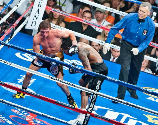 Saul Alvarez vs. Shane Mosley at MGM Grand - Saul "Canelo" Alvarez vs ...