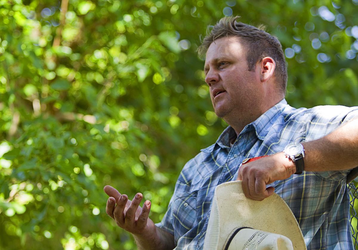 Bundy son arrested in Nevada standoff appears in Utah court - Las Vegas ...