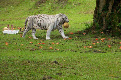 Cameo’s Larry Blackmon explains red codpiece; ‘Alice’ blows up at ...