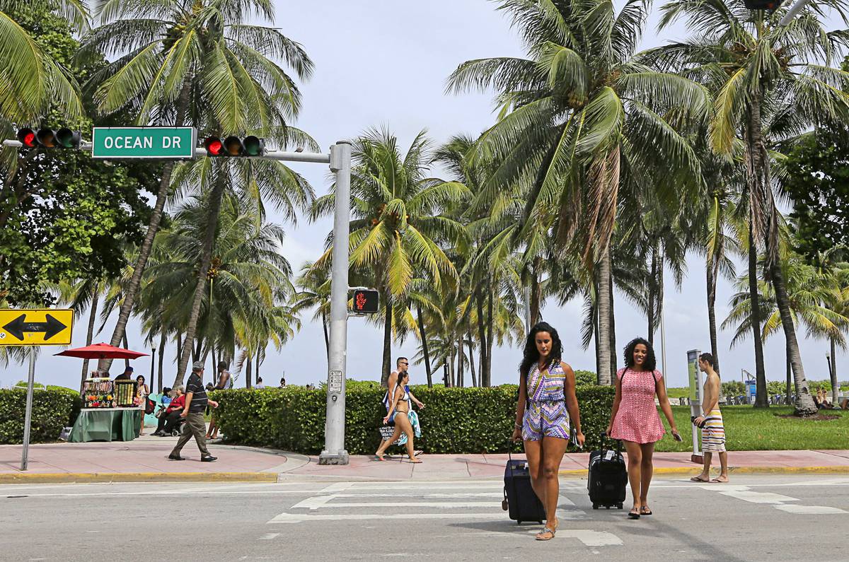 Florida finds Zika virus; bromeliads blamed - Las Vegas Sun News