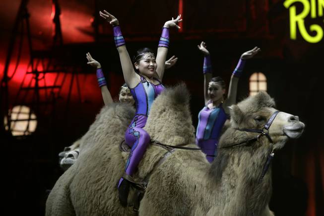 Nowhere left to escape: The final days of the circus - Las Vegas Sun News