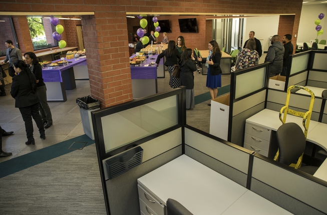 Safe Nest 40th Anniversary - Safe Nest unveils a new office and ...