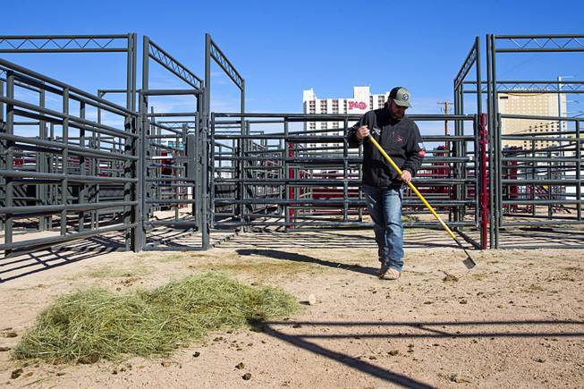 Photograph : Core Arena Opens In Downtown Las Vegas