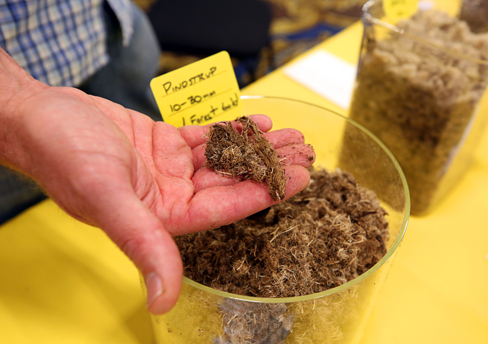 Cannabis Conference 2019 - Las Vegas Sun News