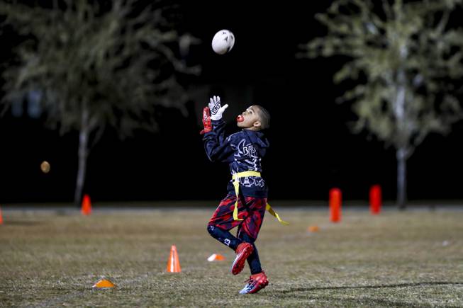 Photograph : Trent Mitchell - Las Vegas Sun News