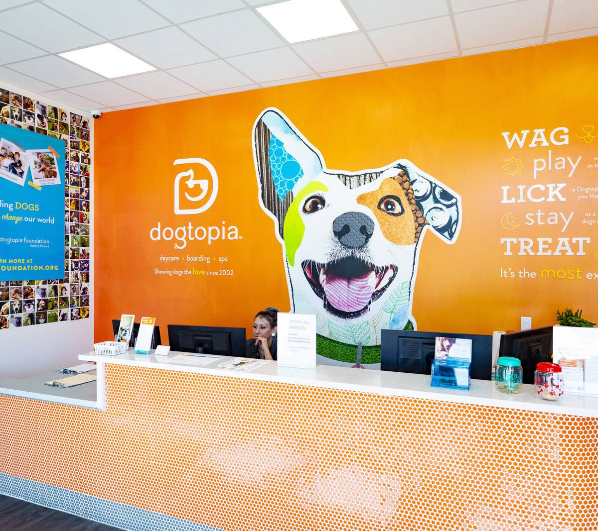 How Much Does A Dogtopia Franchise Make