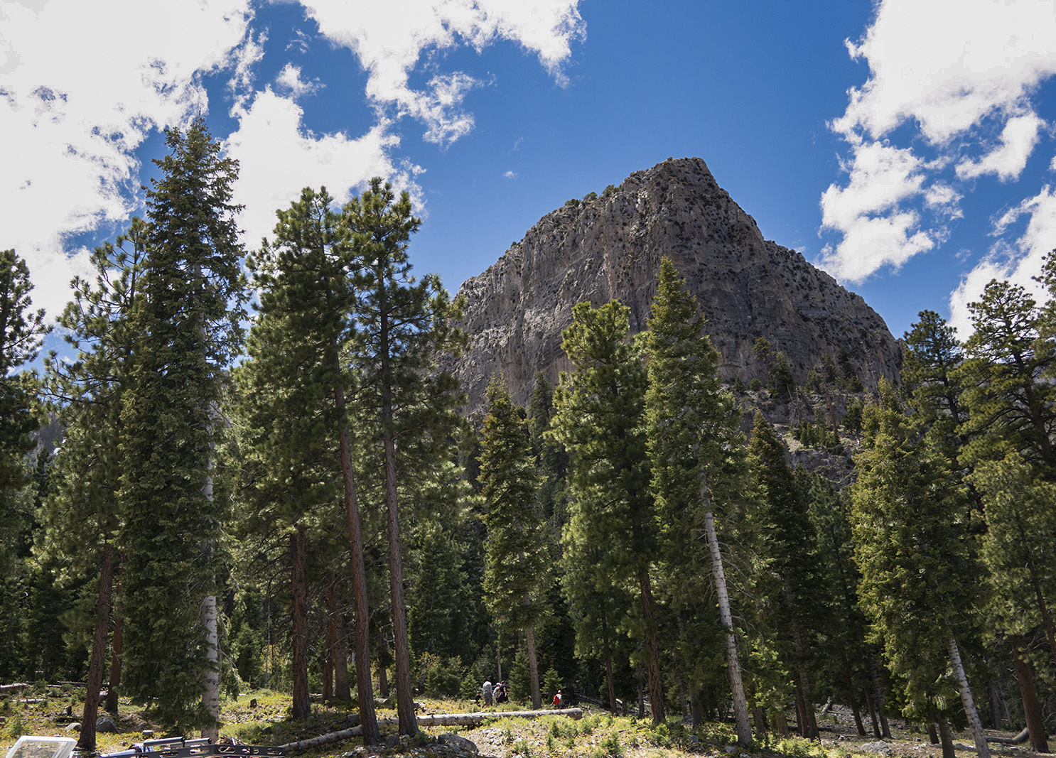 Mount Charleston Trails - Las Vegas Sun News