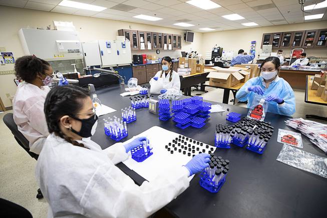 Photograph : CSN Student Volunteers Assemble COVID-19 Test Kits - Las ...