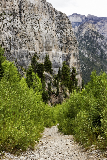 Mount Charleston Hiking Trails - A view of the Cathedral Rock trail in ...