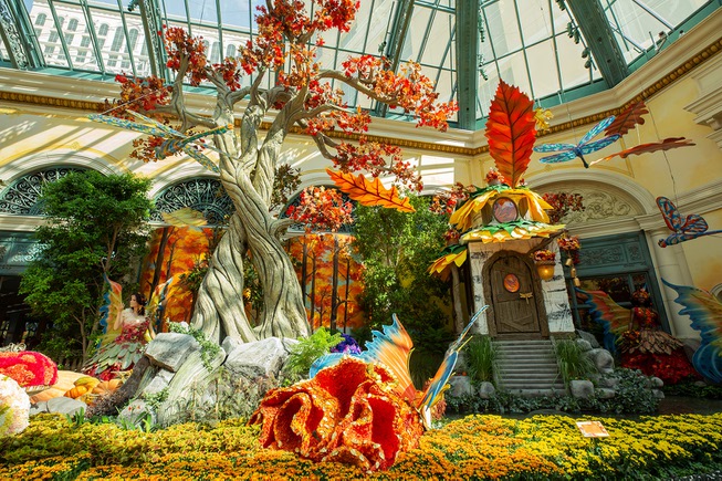 Bellagio Conservatory's Fall Display: "Into the Woods" - A look at the ...