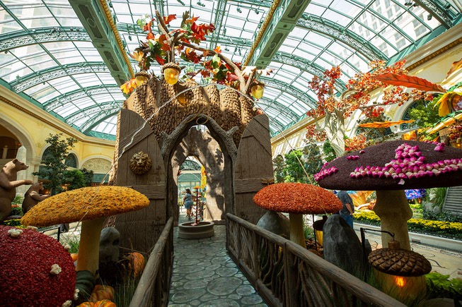 Bellagio Conservatory's Fall Display: "Into the Woods" - A look at the ...