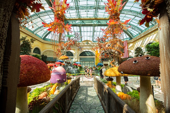 Bellagio Conservatory's Fall Display: "Into the Woods" - A look at the ...
