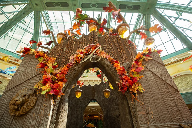 Bellagio Conservatory's Fall Display: "Into the Woods" - A look at the ...