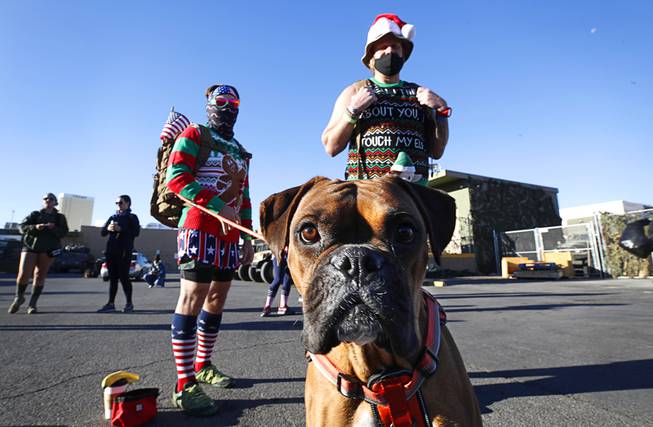 Photograph : Irreverent Warriors Silkies Hike - Las Vegas Sun News