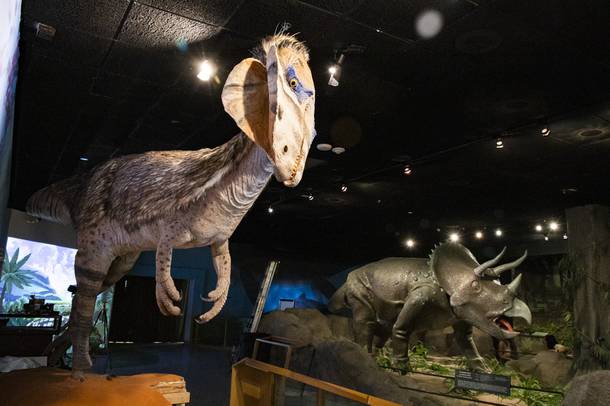 Photograph: New Dilophosaurus Exhibit - Las Vegas Weekly