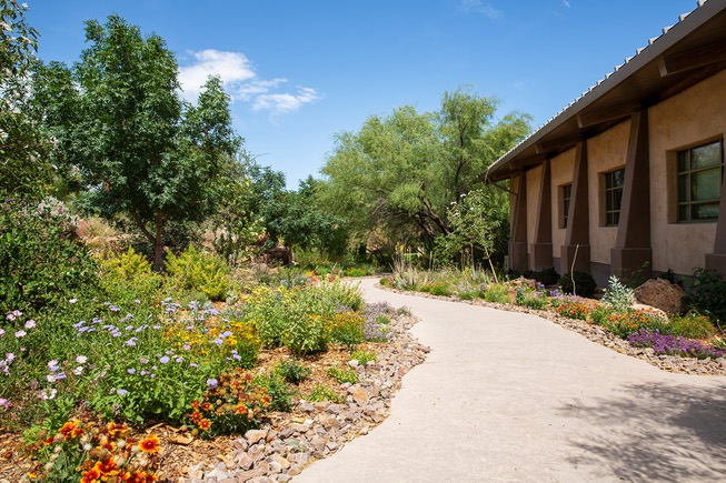 Springs Preserve - A look at the Springs Preserve, a 180-acre preserve ...