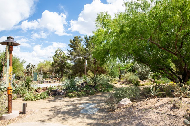 Springs Preserve - A look at the Springs Preserve, a 180-acre preserve ...