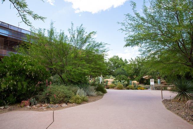 Springs Preserve - A look at the Springs Preserve, a 180-acre preserve ...