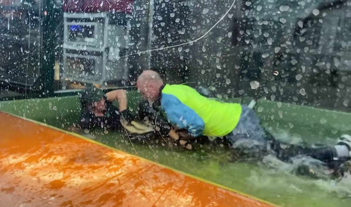 Alligator handler recovering after attack, daring rescue - Las Vegas ...