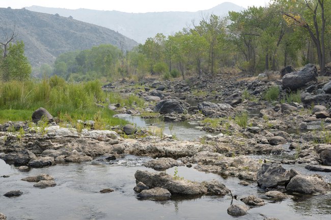 Drought drying Carson River hits Nevada pastures, ranchers - Las Vegas ...