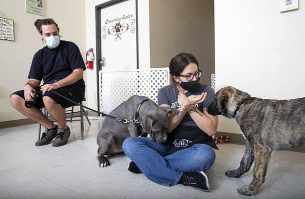 Photograph: Smarty Paws - Las Vegas Weekly