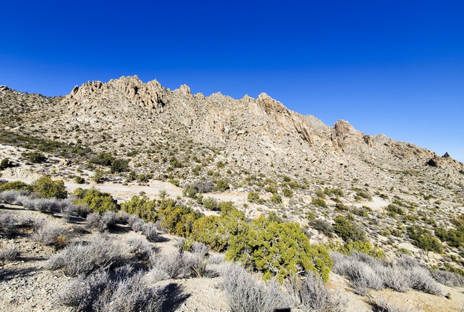 Quest to name ‘Spirit Mountain' a national monument seeks county’s ...