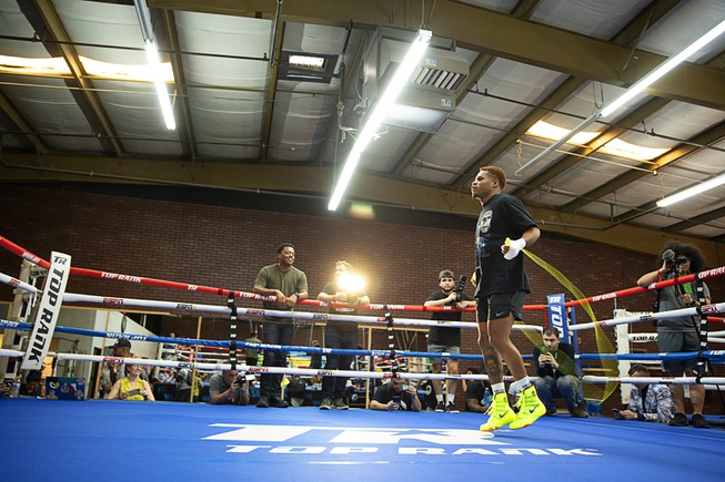Photograph : Devin Haney Prepares For Title Defense - Las Vegas Sun News
