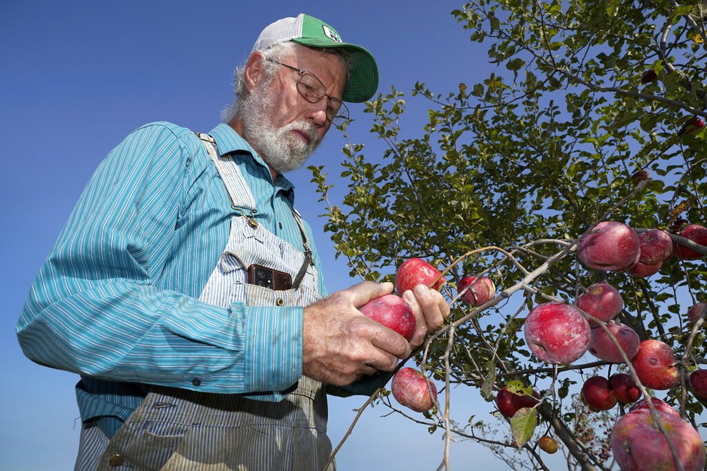 More consumers buying organic, but U.S. farmers still wary - Las Vegas ...