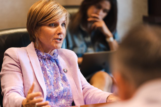 Representative (D-NV) Suzie Lee - Susie Lee, Democrat representative ...