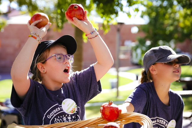 Figs here, cucumbers there: Student farmers market brings the goods in ...