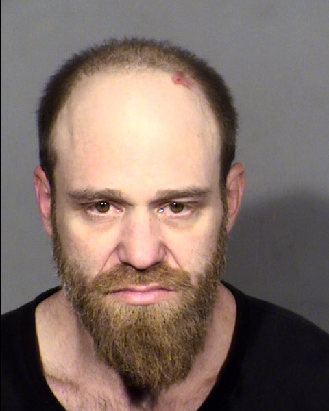 Las Vegas-area child-sex sweep - Justin Book - Las Vegas Sun News