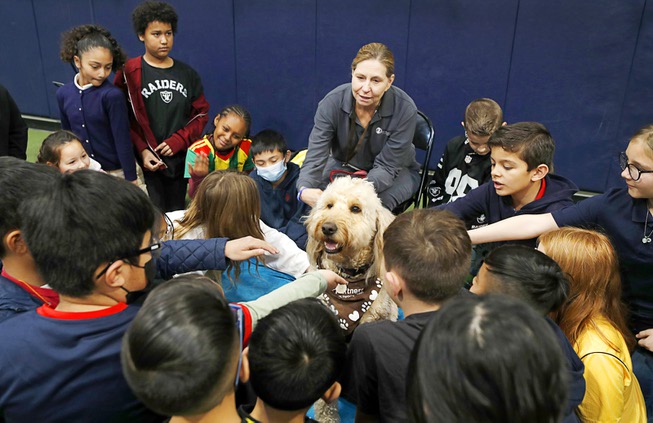 Photograph : Kids Reading To Dogs - Las Vegas Sun News