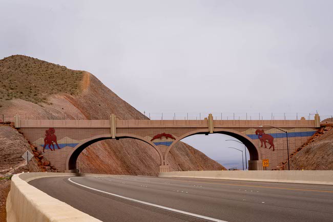 Nevada shows commitment to getting desert wildlife across the road ...