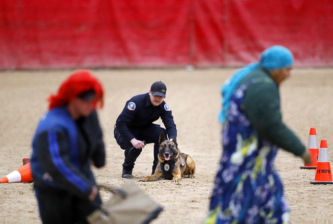 Photograph : 31st Annual Metro K-9 Trials