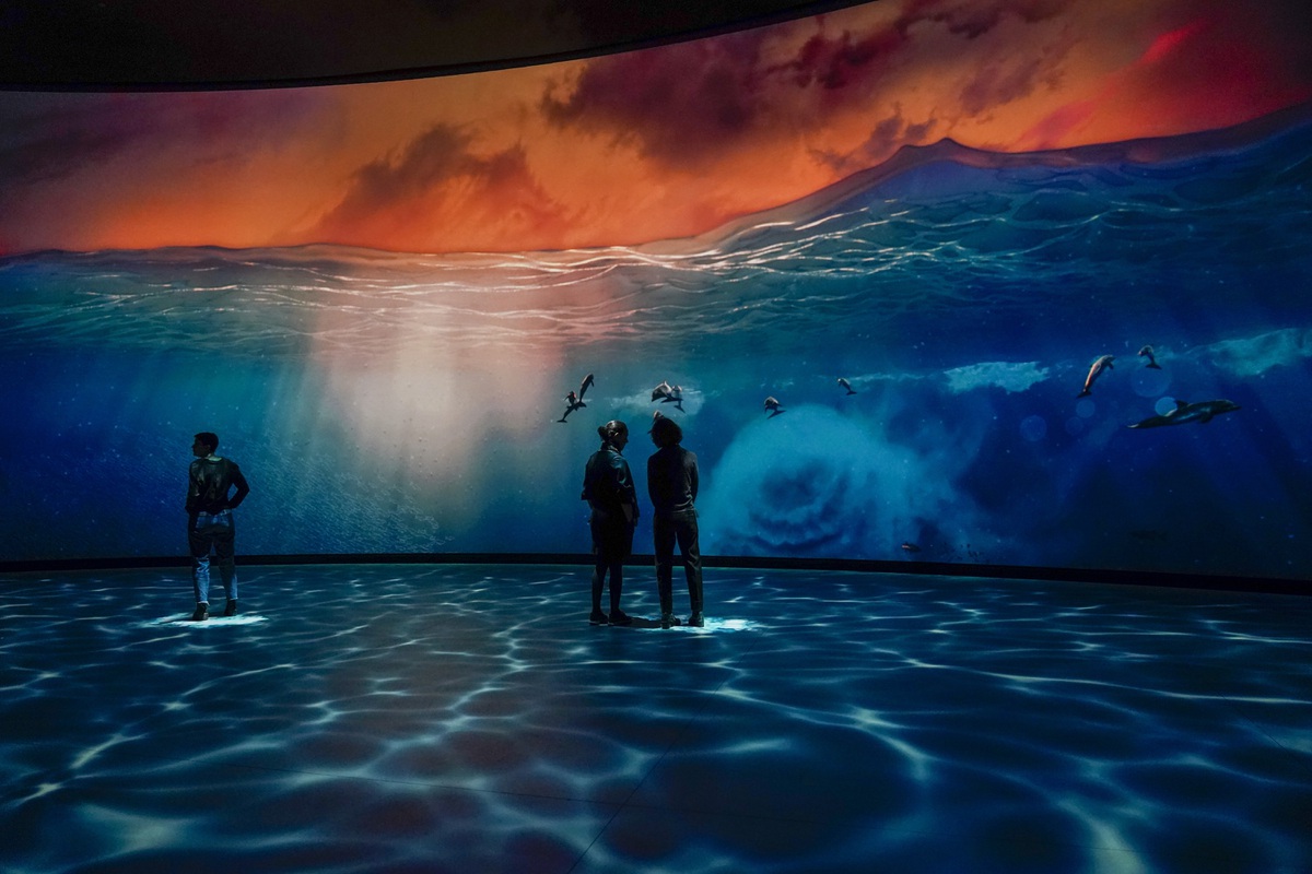 Ants march, whales swoop in Museum of Natural History update - Las ...