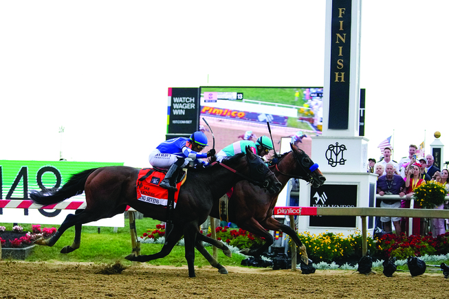 Trainer Baffert's National Treasure takes Preakness hours after tragedy ...