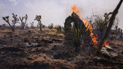 Las Vegas area fires - Las Vegas Sun News