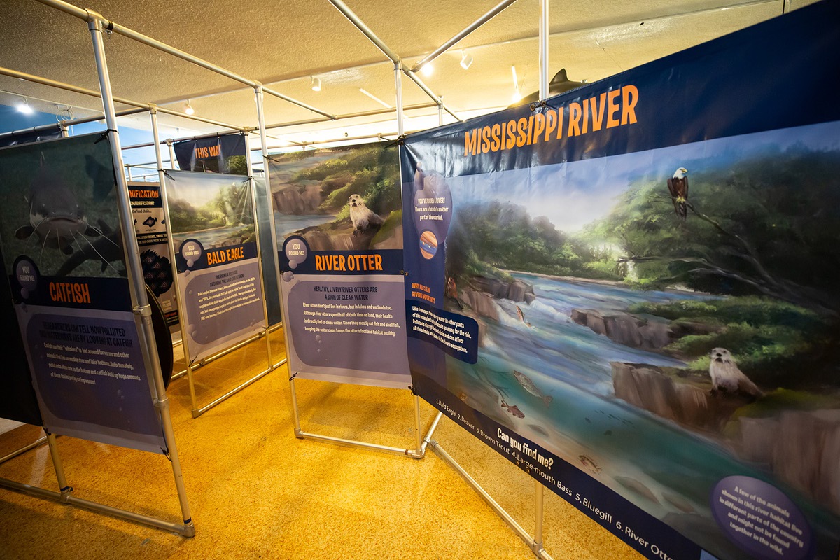 Exhibit lets museum patrons become water drops to teach about pollution ...