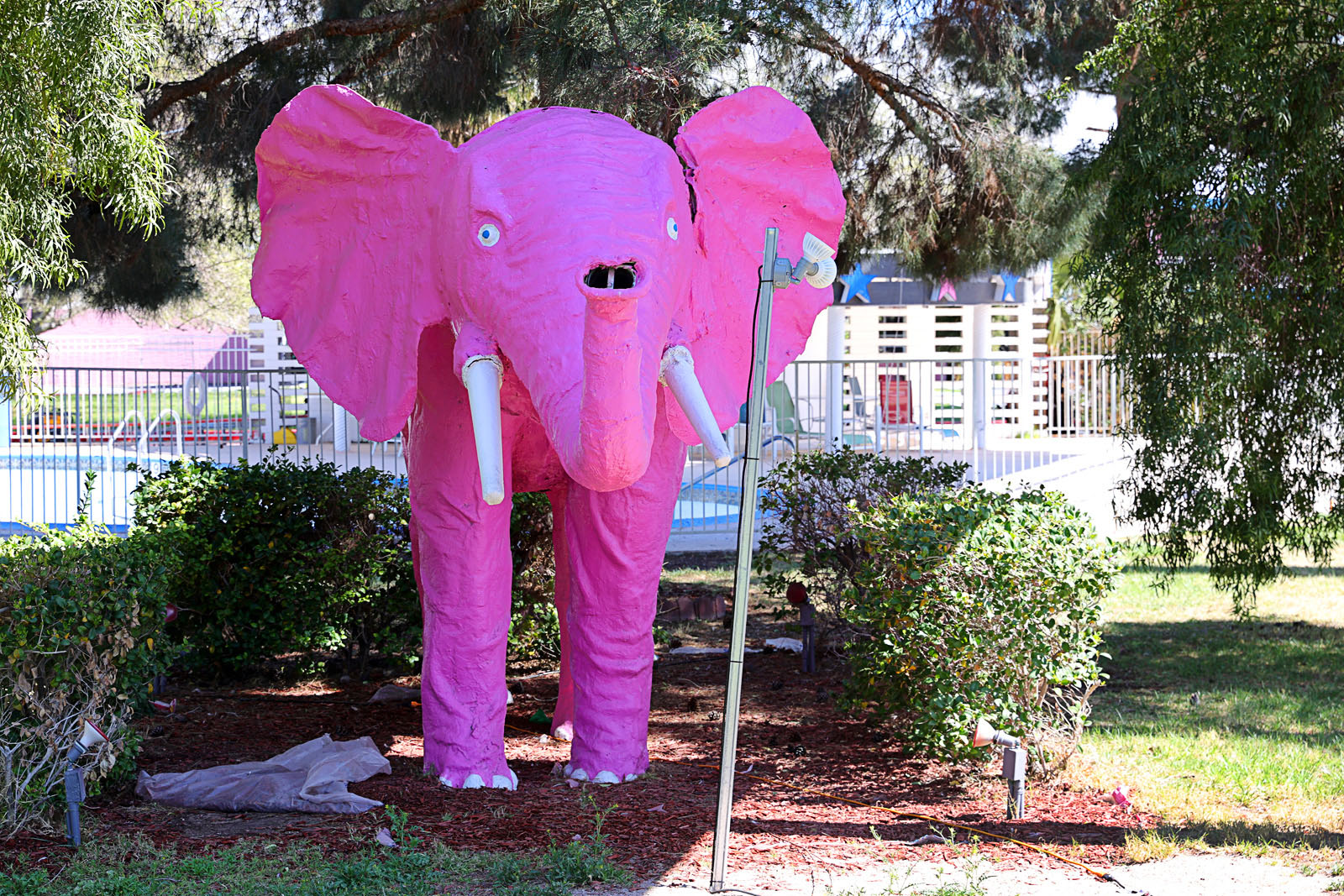 Diamond Inn Motel - Las Vegas Sun News