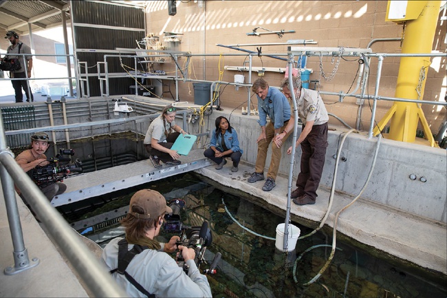 Little fish, big comeback: Endangered pupfish in Death Valley featured ...