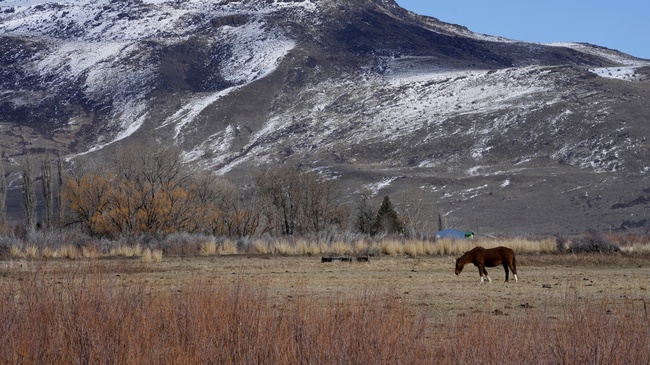 Photograph : Duck Valley Indian Reservation - Las Vegas Sun News
