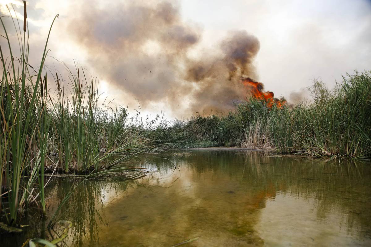 Fire crews working to contain 110-acre brush fire at Wetlands Park ...