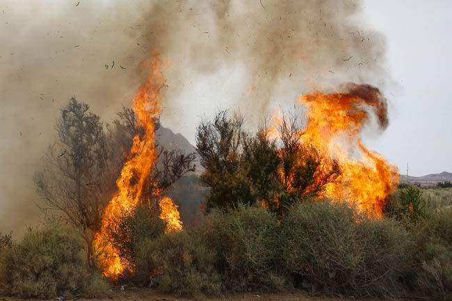 Fire crews responding to blaze at Clark County Wetlands Park - Las ...